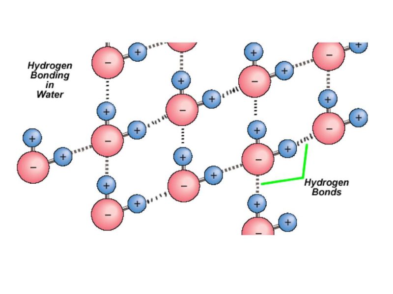 What are solvation shells – Sustainable water treatment and biofilm ...